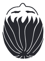 Transbase Men's Full Wig "Bodo" - Custom Made – NOBO Corporation